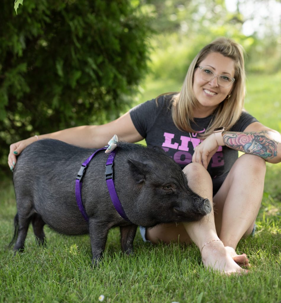 Accueil - Élevage et Refuge Cochons Miniatures Saguenay